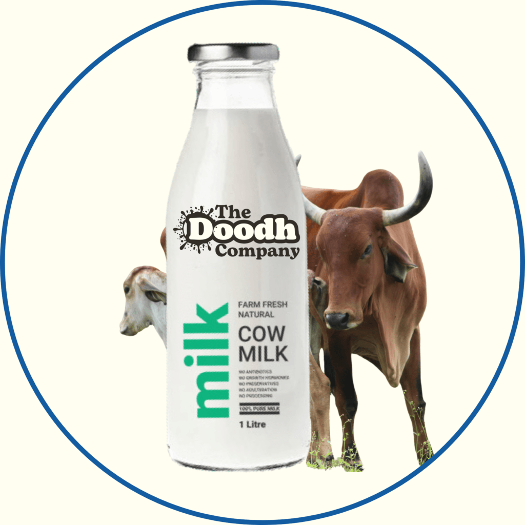 Fresh Cow & Buffalo Milk Delivery Near You - The Doodh Co.